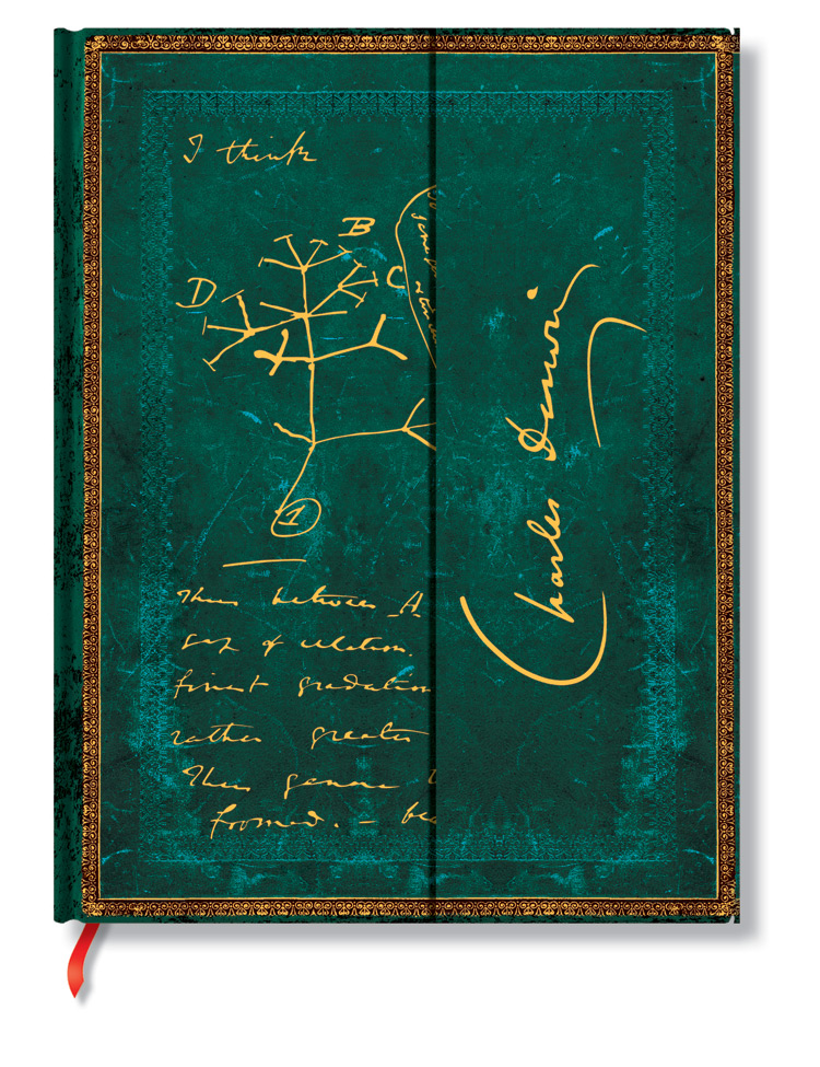darwin_tree_1837 | Endpaper: The Paperblanks Blog
