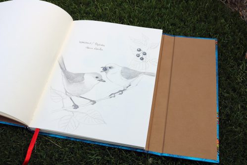 10 Questions with Pia, Artist and Writer | Endpaper: The Paperblanks Blog