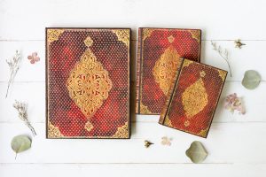 Dive into a Field of Clover with Golden Trefoil | Endpaper: The ...