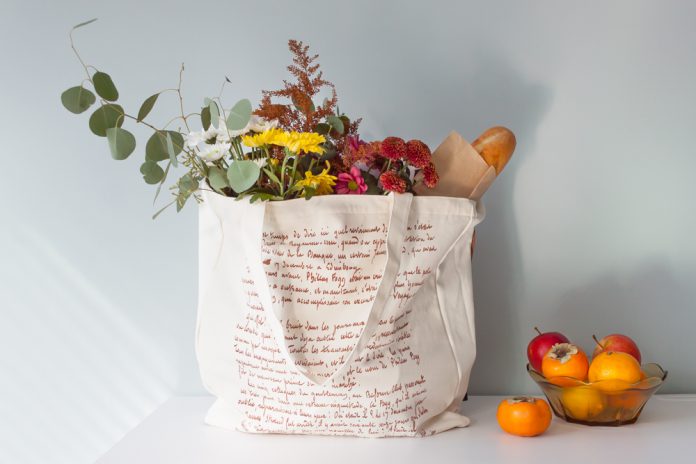 Stylish & Functional Canvas Bags | Endpaper: The Paperblanks Blog