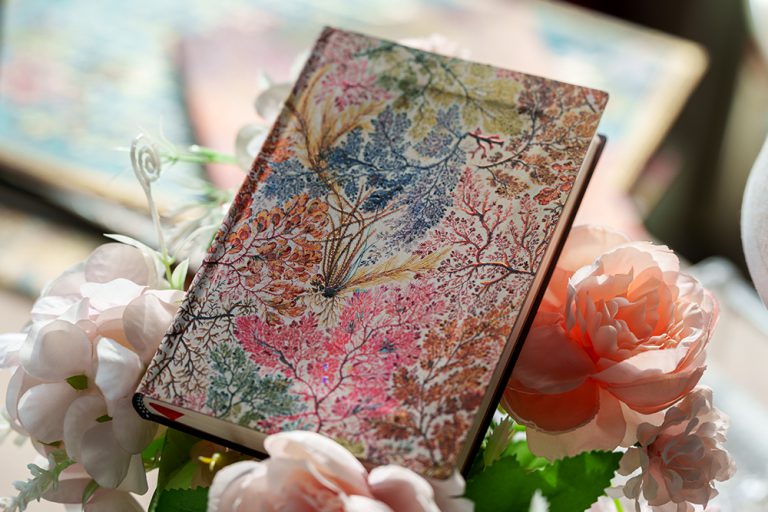 Anemone Softcover Journal Joins Our William Kilburn Series This Spring ...